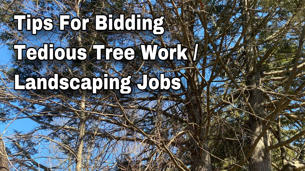 How to Quote Certain Kinds of Tree Work and Landscaping Jobs
