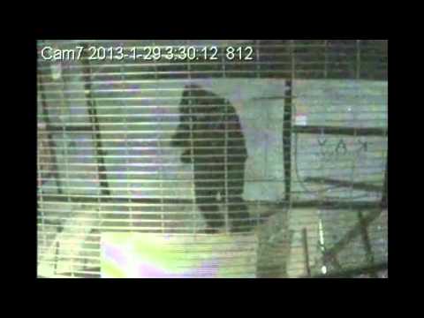 RAW: Robbery of north Stockton jewelry store