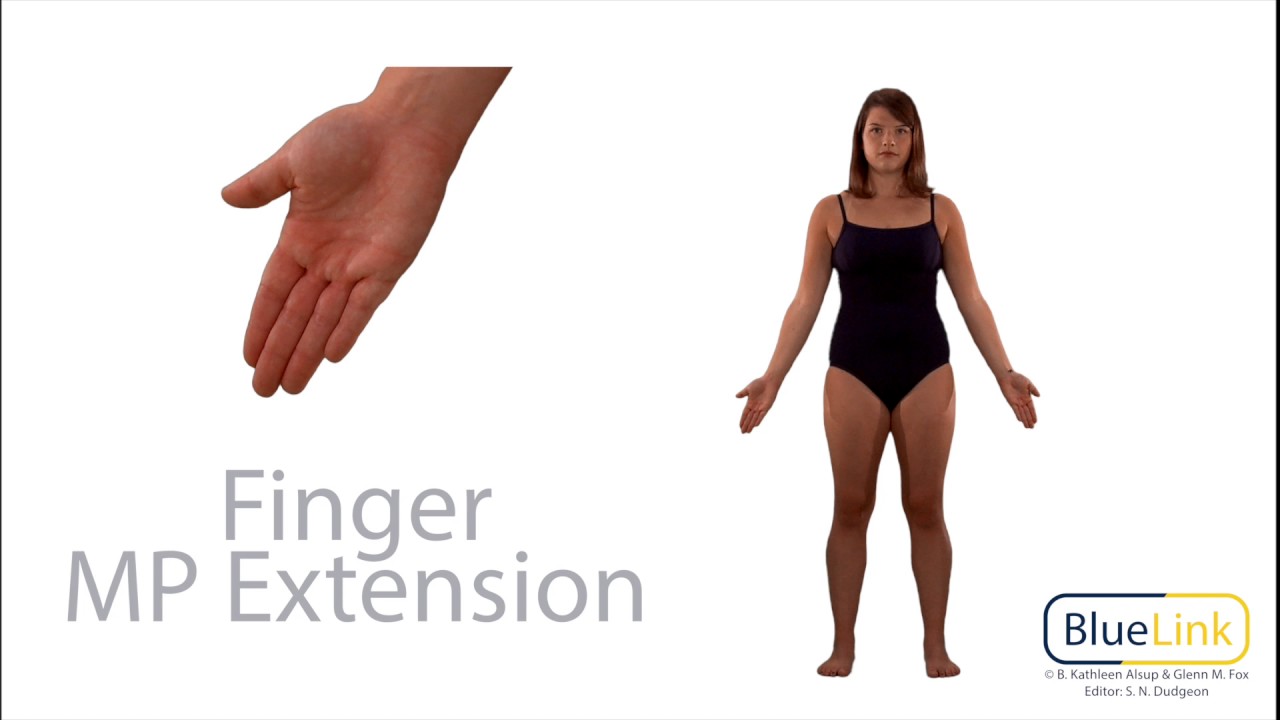 Finger Flexion Extension