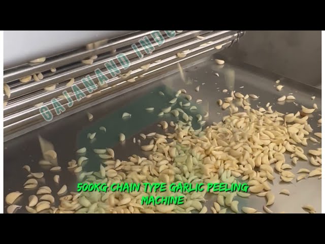 Peeling Machine - Garlic Cleaning And Breaking Machine Manufacturer ...