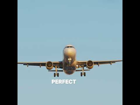 Inside Delta Airlines Terminal Spotting | Best Plane Spotting Views & Tips 2025