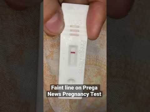 Faint line prega news pregnancy test Can you see it too ???