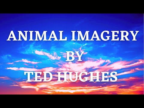 MODERN POETRY|ANIMAL IMAGERY|BY TED HUGHES|MOST IMPORTANT QUESTION|