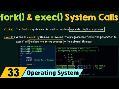 Learn fork and exec System Calls - Mind Luster
