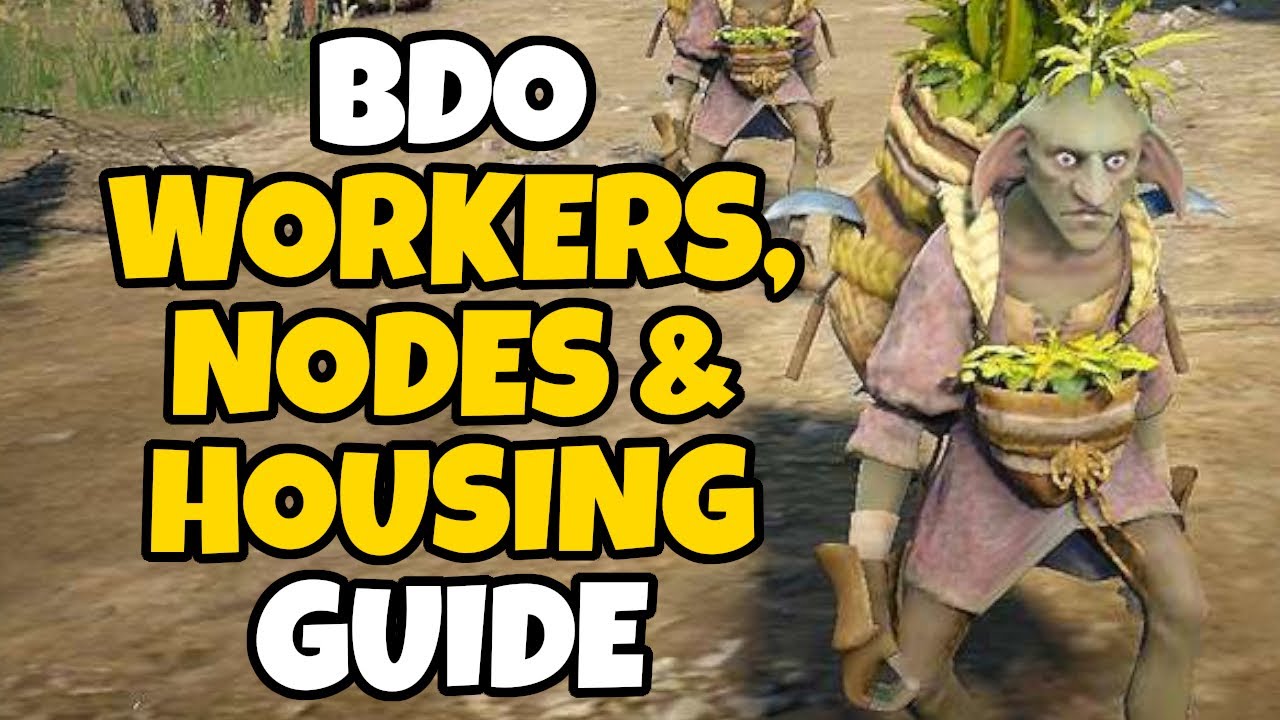 BDO Worker, Node and Housing Guide for Beginners