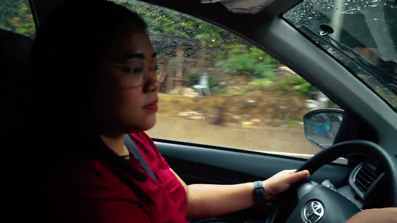 Man-made Forest, Loboc-Bilar Road, Bohol
