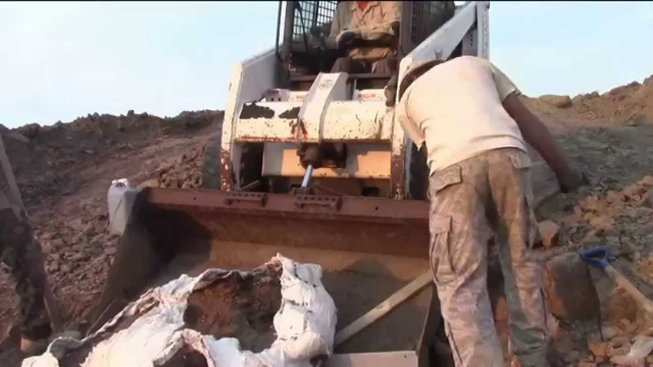 #26 Jacketing the Big Triceratops