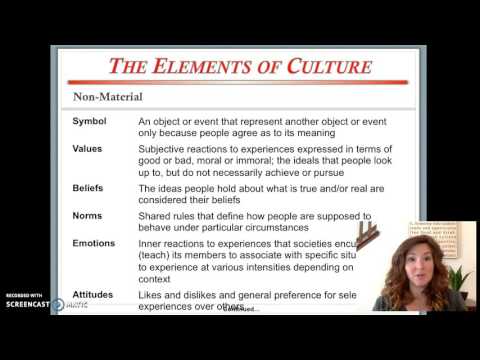 Culture, defining terms