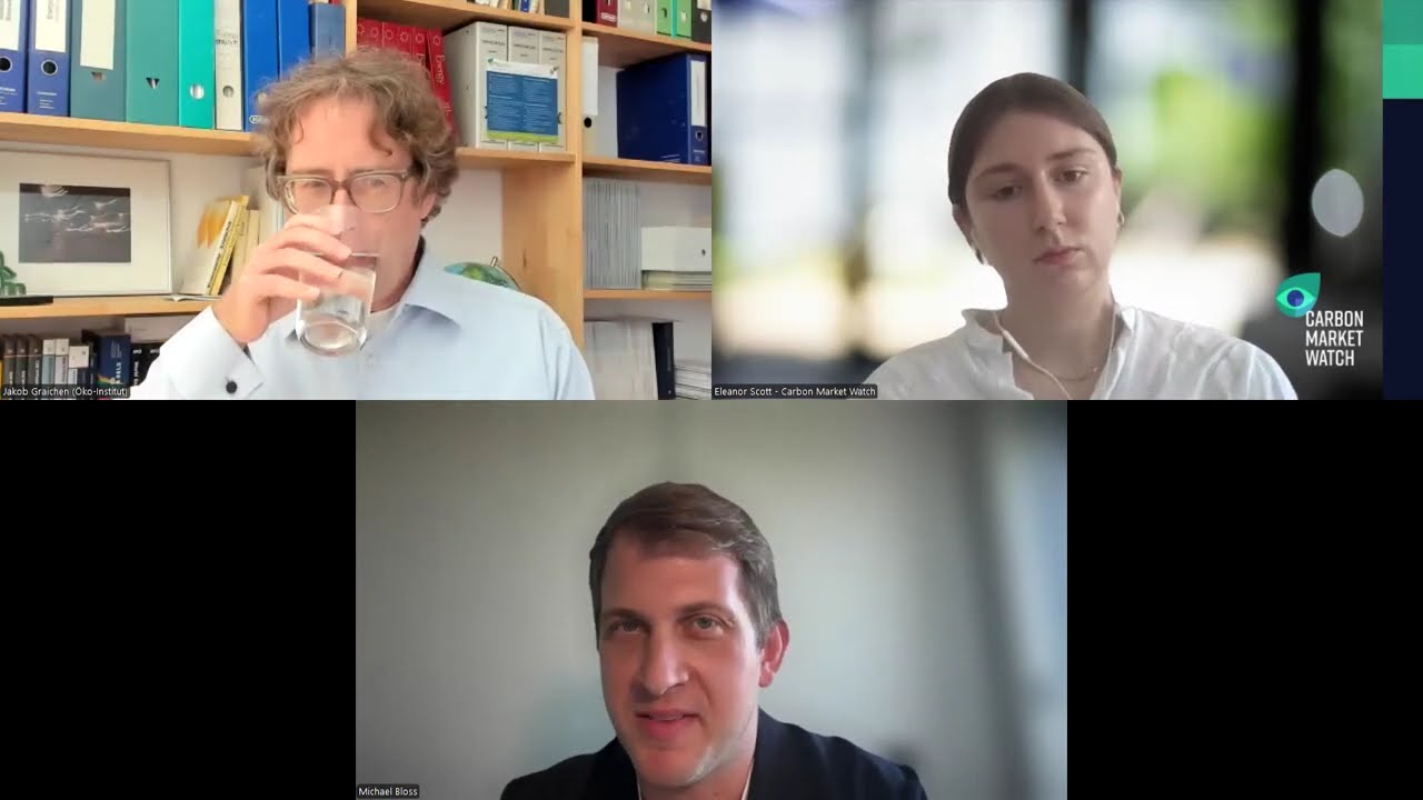 The EU ETS and the EU 2040 climate target (Carbon Pricing Hub - LIFE Effect)