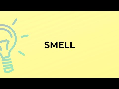 What is the meaning of the word SMELL?