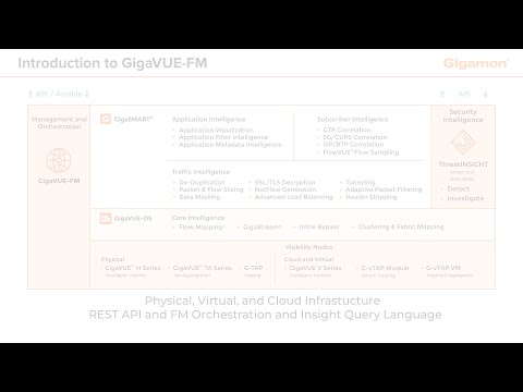 Introduction to GigaVUE-FM