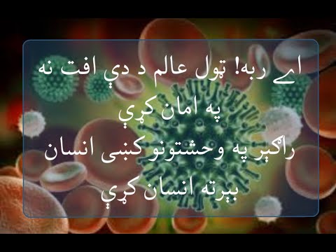 Best Pashto Poetry by Dr Abaseen yousafzai on Corona Virus