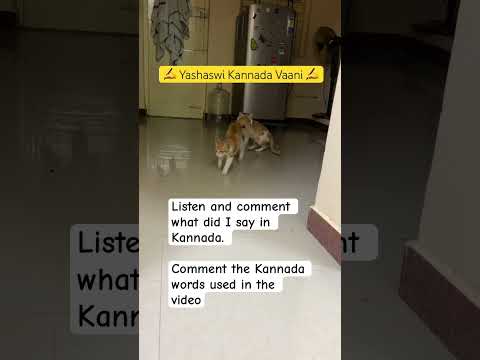 Listen and comment the Kannada words from video #yashaswikannadavaani #spokenkannada #learnkannada