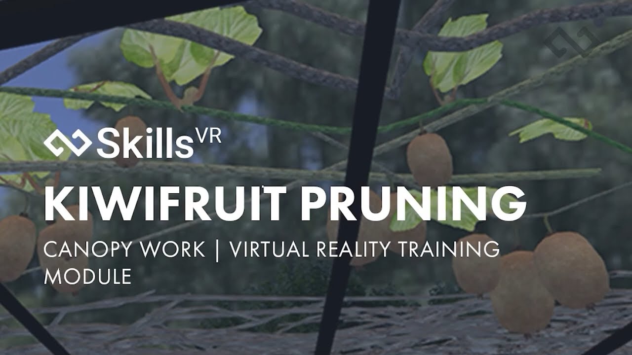 Kiwifruit Pruning | Immersive Learning Modules | SkillsVR