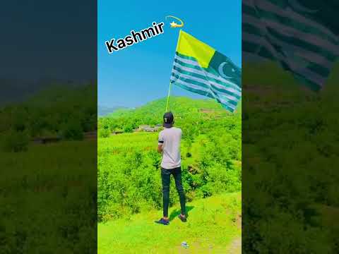 Azad kashmir flag