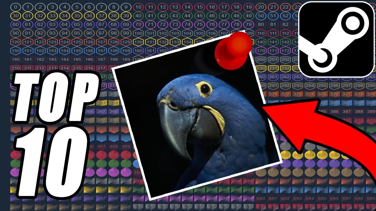 Top 10 Highest Level Steam User Profiles