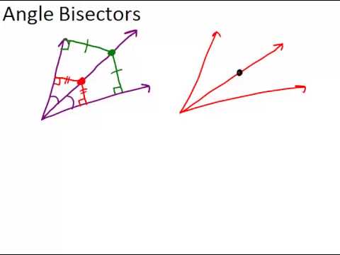 Angle Bisectors in Triangles ( Read ) | Geometry | CK-12 Foundation