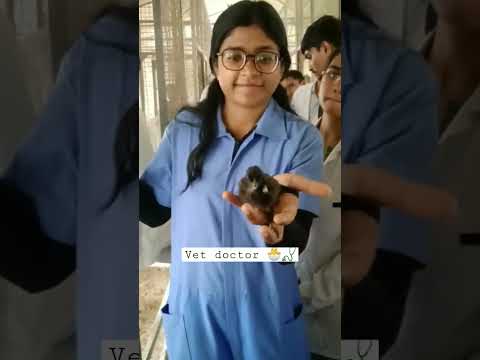 veterinary doctor ❤🐣🩺💉💫 #vaccination #vetdr #veterinary #medico #ndvsu #vetlife #neet #animaldoctor