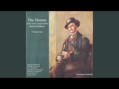 An Rógaire Dubh / Na Ceannabháin Bhána / Páidín Ó Raifeartaigh (Jigs)