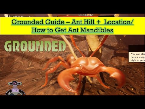 Steam Community :: Video :: Grounded - Ant Hill + Location, How to Get ...