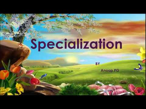 SPECIALIZATION: types of specialization, , advantages and disadvantages of specialization,example.
