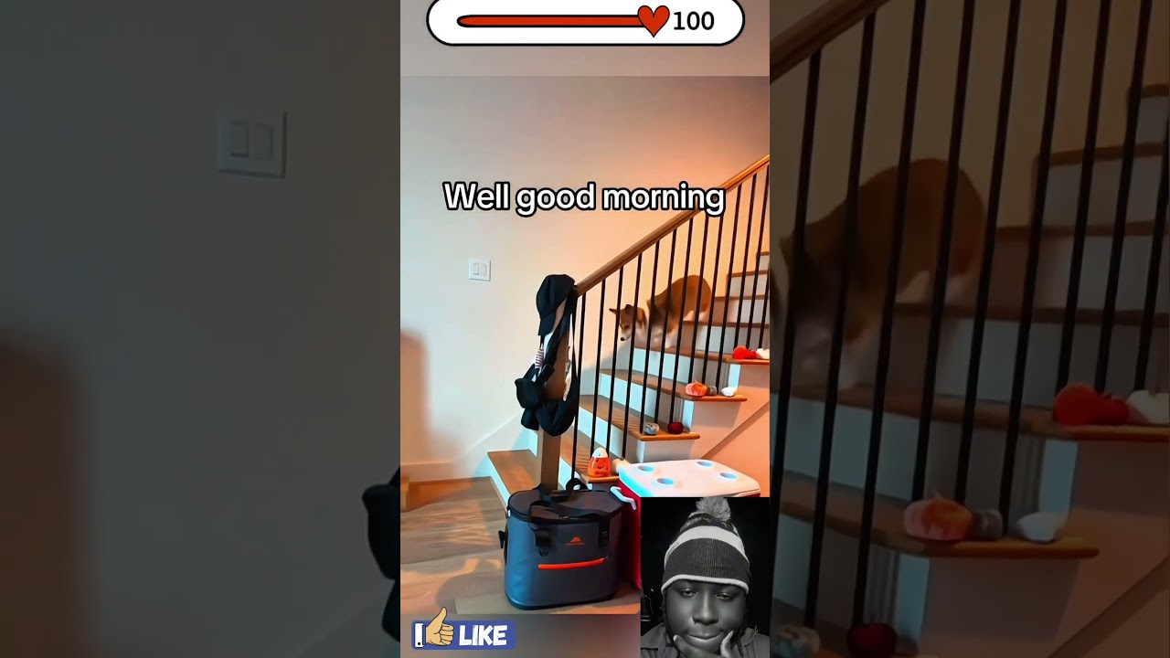 Happy Dog, nyt connections hints july 21