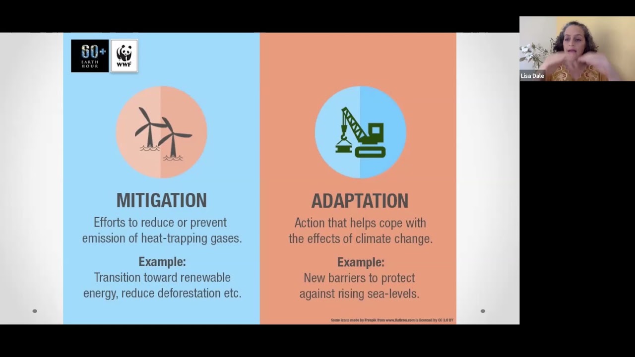 How Global Climate Policy Works
