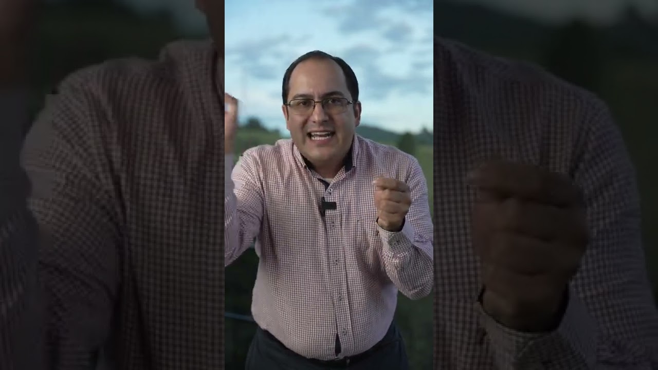 Cómo saber cuál hemisferio de mi cerebro es prominente  - Juan Camilo Psicólogo
