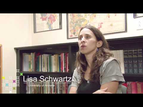 Lisa Schwartz - DML Summer Institute 2011