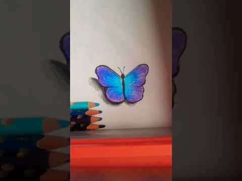 How to draw butterfly /easy / butterfly drawing / 3d drawing