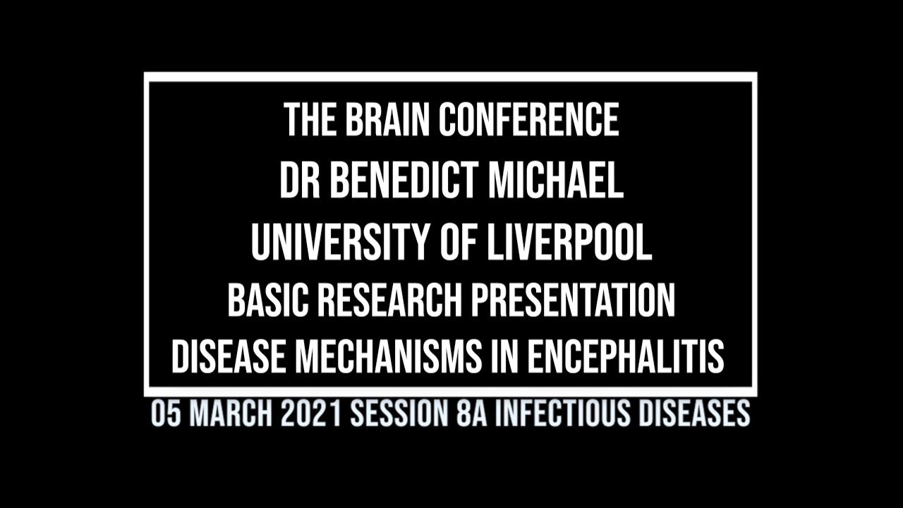 The Brain Conference 2021: Basic Research Presentation: Benedit Michael