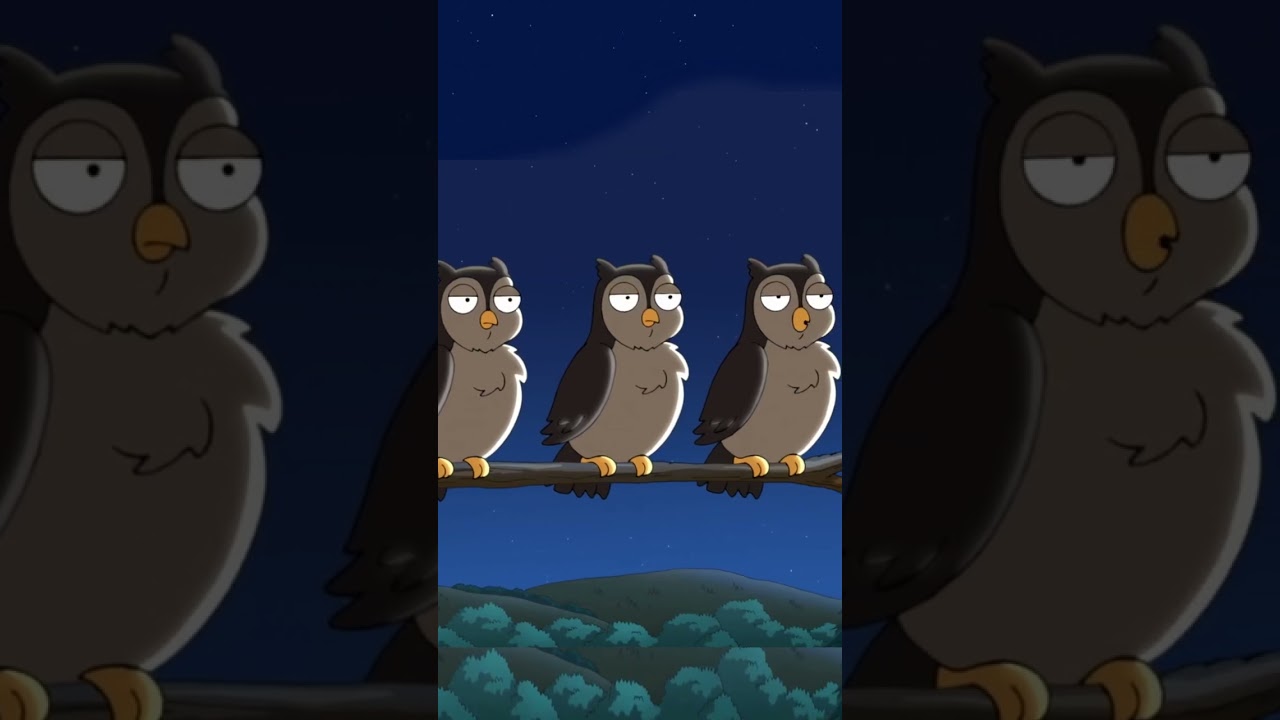 be different #toon #owl #grammar