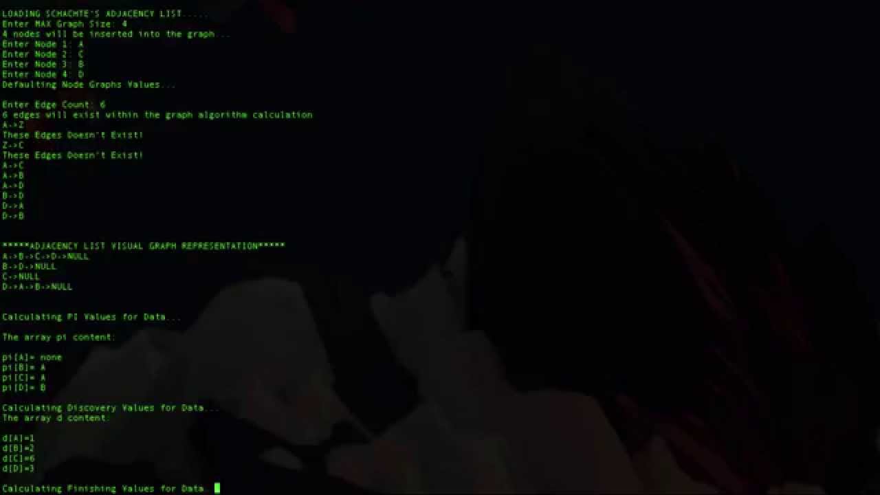 Depth First Search C++ Algorithm Implementation - Ryan Schachte