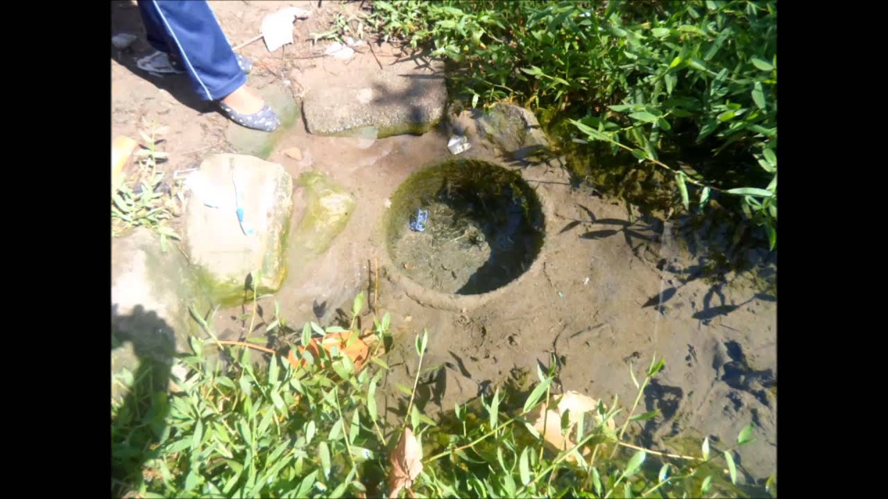 EMEF Luzia Levina - Os aprendizes