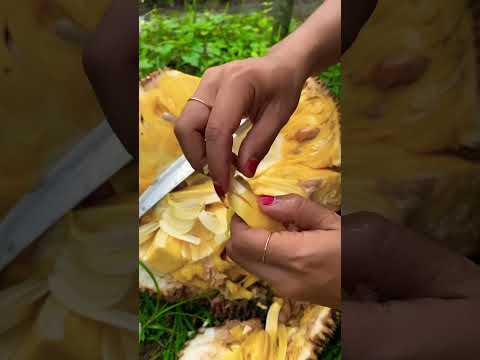 Nangka Paling Enak di dunia #nangkamadu