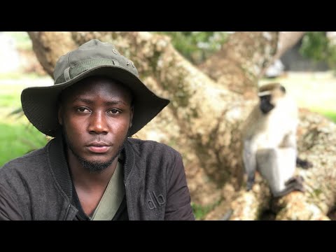 Botanical Gardens Entebbe | Moments and what to do in Entebbe