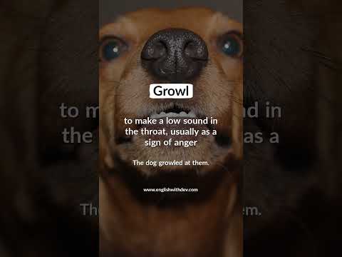 Growl Meaning & Example Sentence