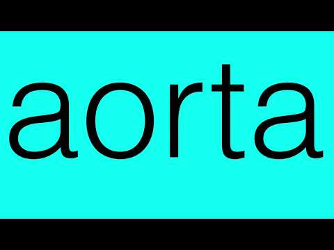 How To Pronounce Aorta In English