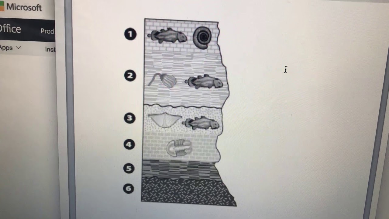 Standard 20b, 7th Grade Science
