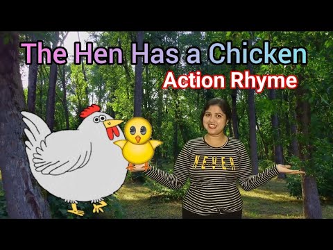 The Hen Has a Chicken Action Rhyme