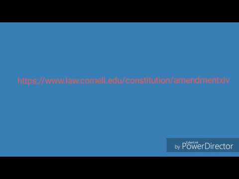 The Position of Blacks [Concerning The 2016 election (Donald Trump)]