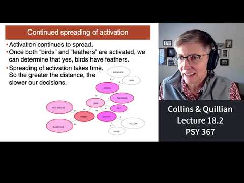 367 Lecture 18.2 Collins & Quillian's Model of Semantic Knowledge