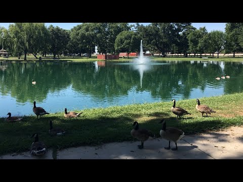Inside Elk Grove's 95624 | Unzipped