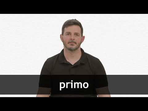 English Translation of “PRIMO” | Collins Spanish-English Dictionary