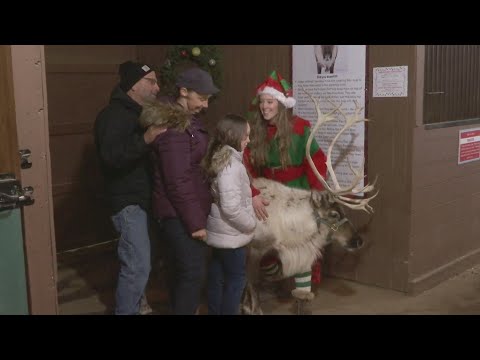 Summerfield Zoo opening Christmas Town on Friday