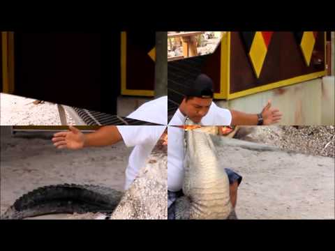 Discover the Miccosukee Tribe of Indians in Miami, Florida