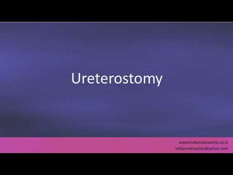 Pronunciation of the word(s) "Ureterostomy".