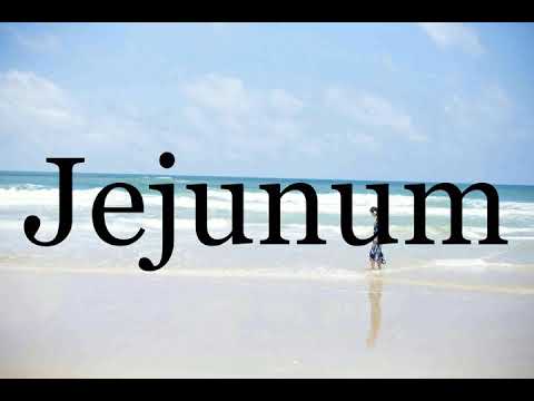 How To Pronounce Jejunum🌈🌈🌈🌈🌈🌈Pronunciation Of Jejunum