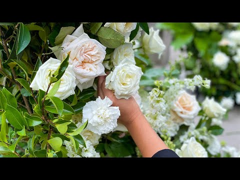 Sourcing, Pricing, and Preparing flowers
