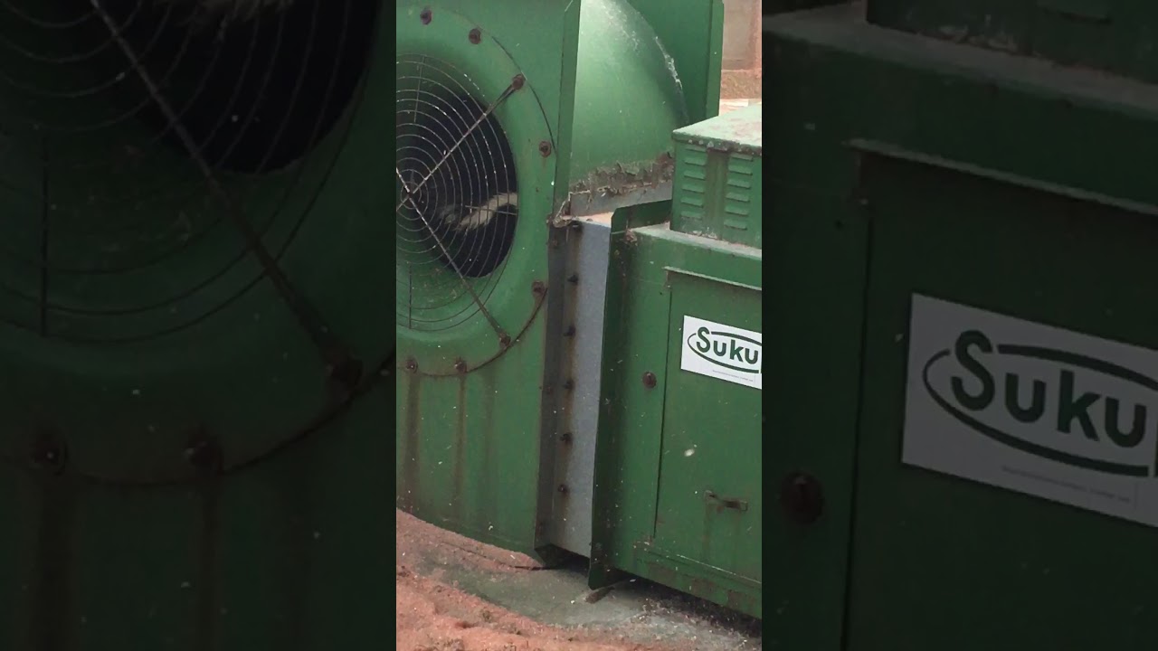 Skunk uses an agricultural grain bin fan as a running wheel. HILARIOUS!!!